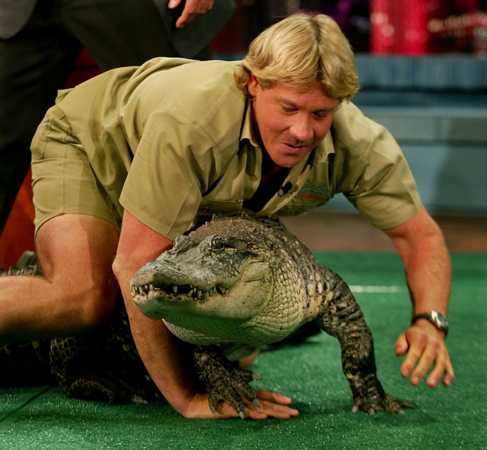 Steve Irwin: How should the Crocodile Hunter be remembered? - BBC News
