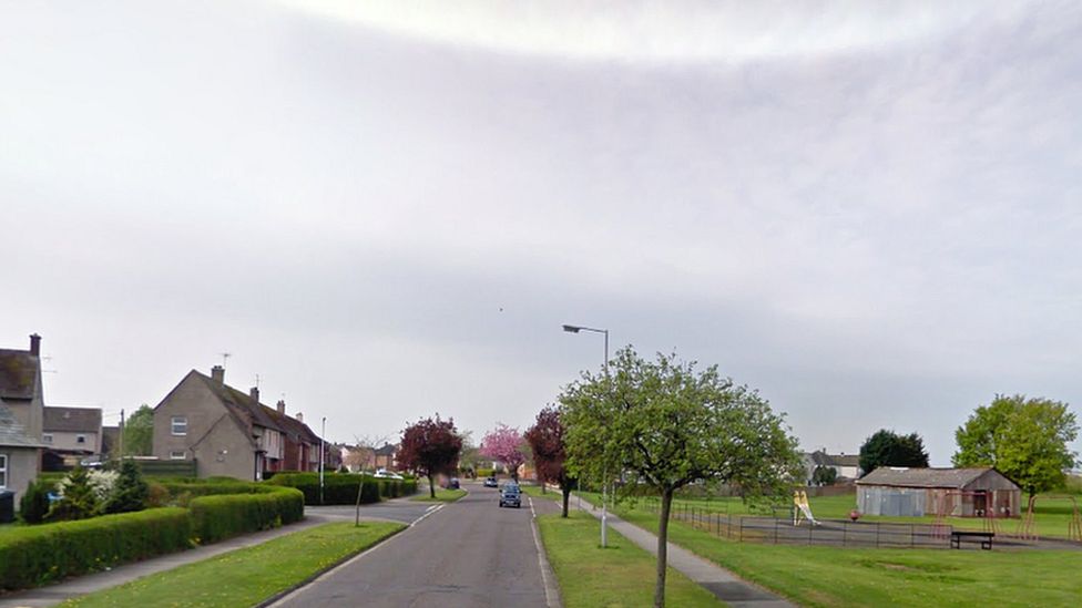 Dumfries Chihuahua attack witnesses sought - BBC News