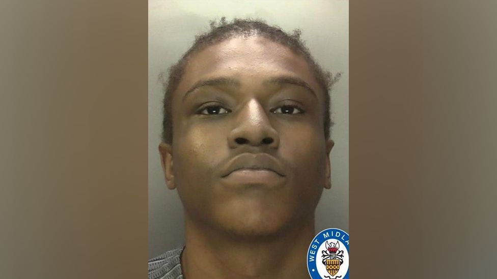 Birmingham man attacked puppy until it had to be put down - BBC News