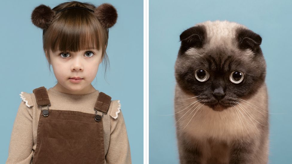 Meet the cats with human lookalikes! - BBC Newsround