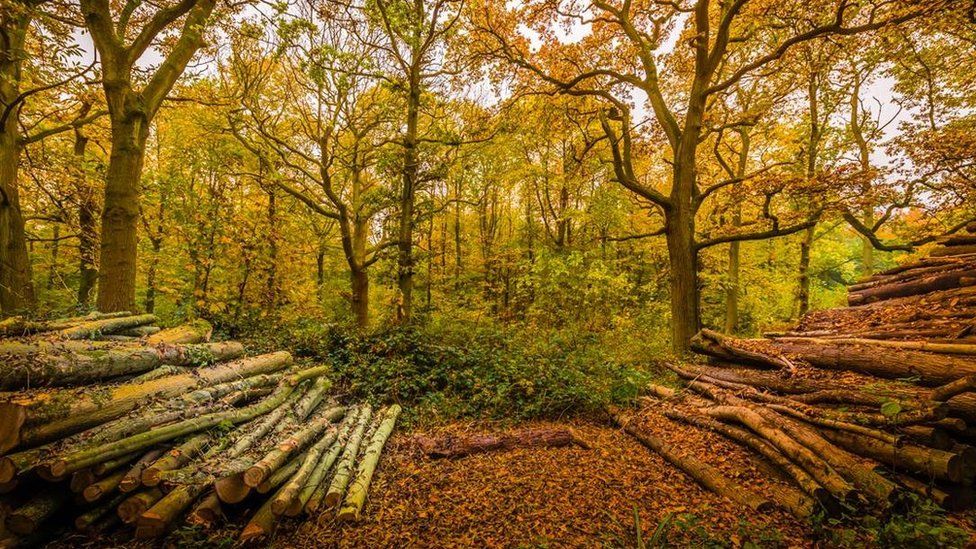 Oxfordshire's Big Picture - BBC News