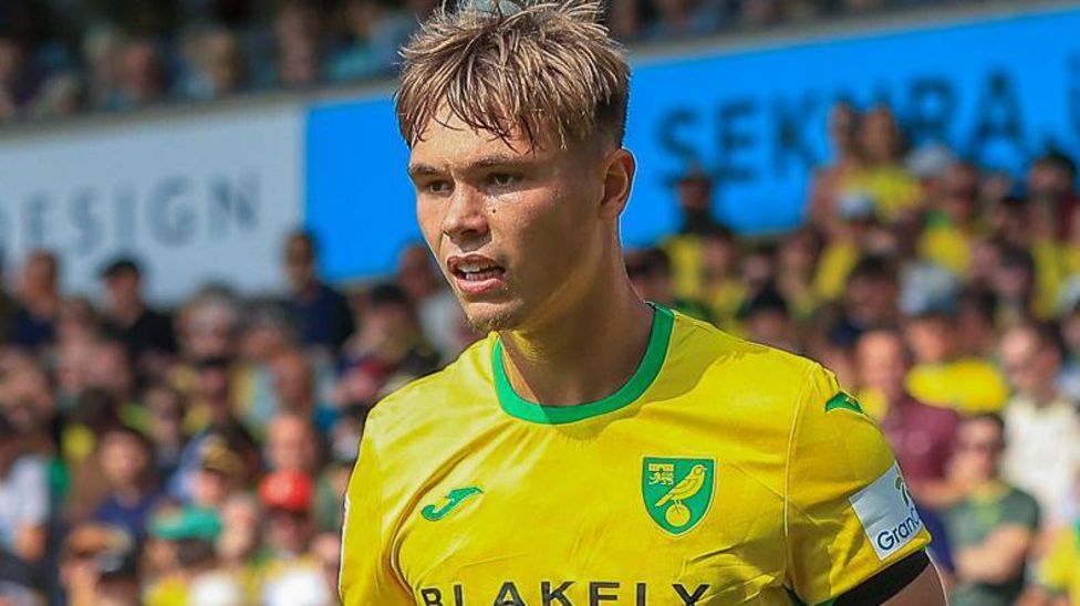 Norwich City 4-1 Watford: First home Championship win for Johannes ...