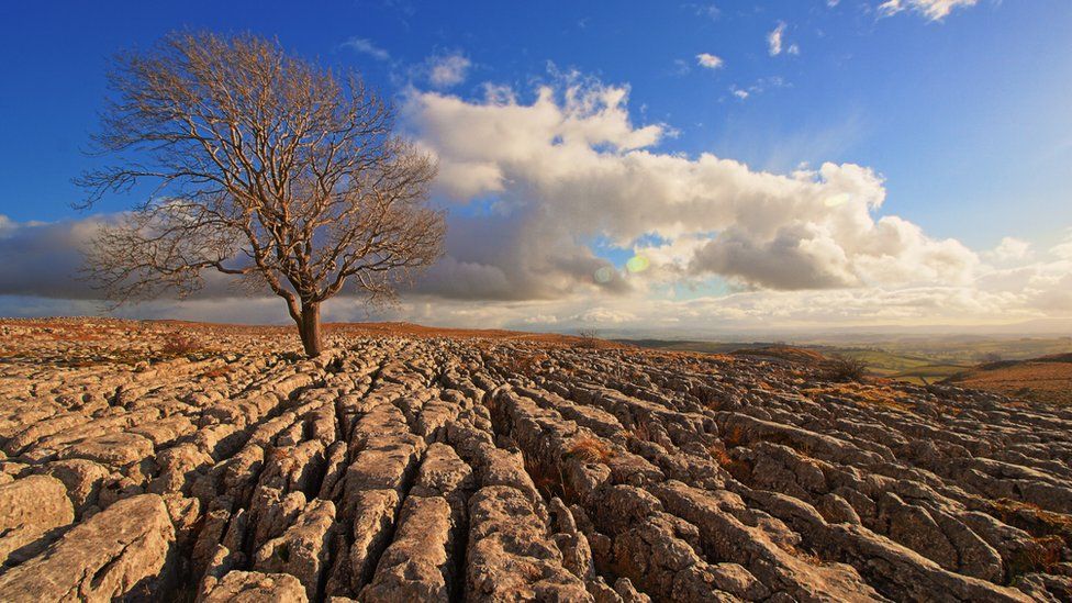 England's Big Picture: 22 - 28 February 2016 - BBC News