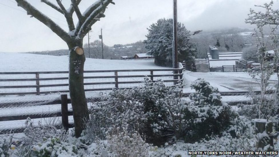 Gallery: Northern Snow - BBC Weather