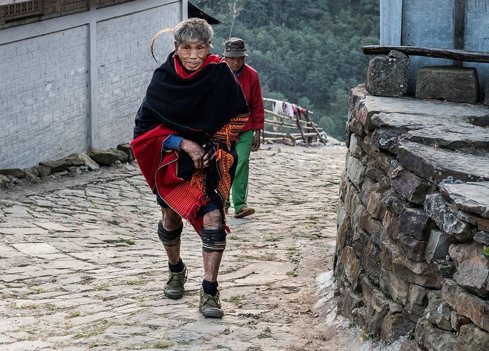The Indian tribe that gave up hunting to save forests - BBC News