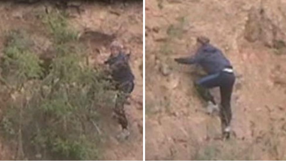 'Spooked' urban peregrine falcons get new nests - BBC News