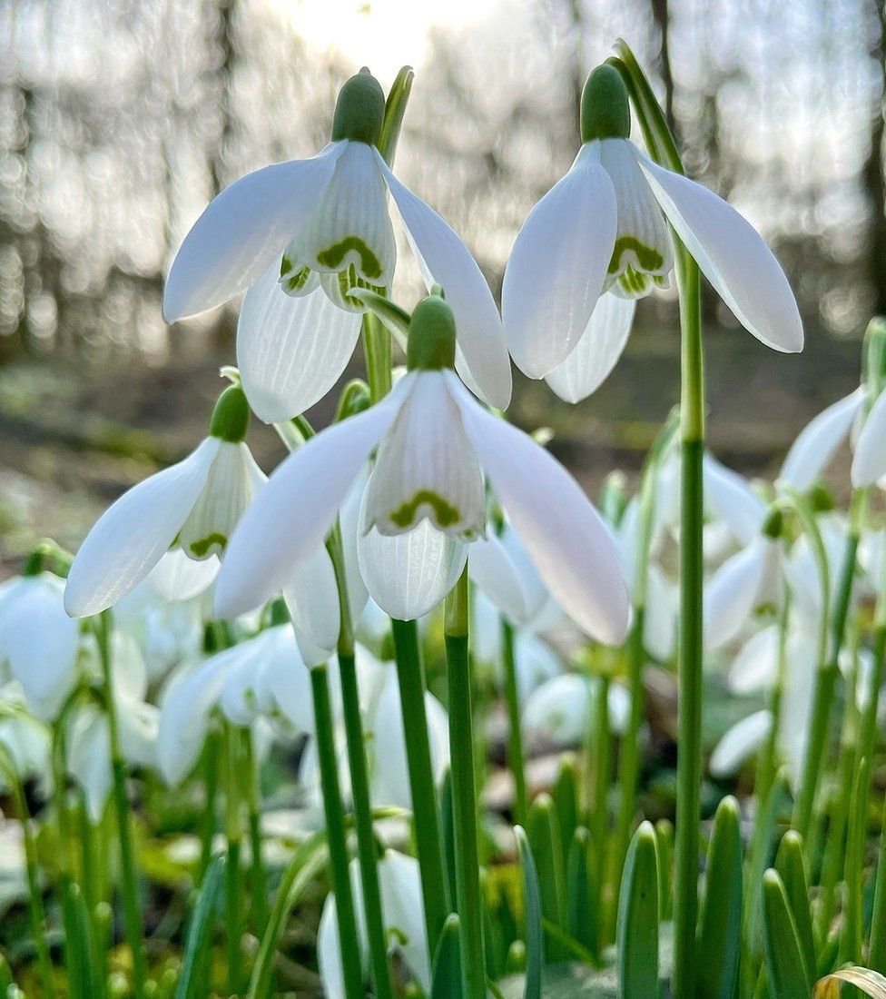 England's Big Picture: 14 February - 20 February 2022 - BBC News