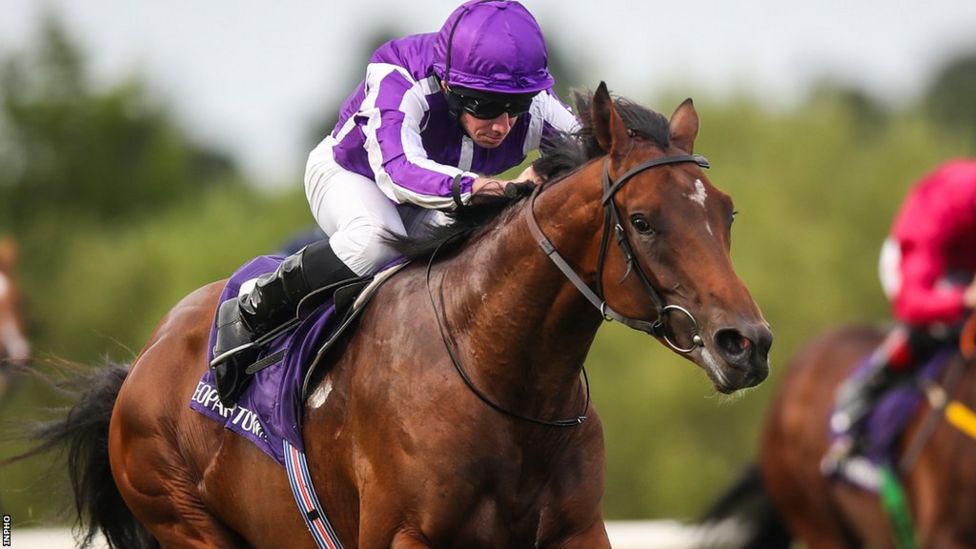 Ulster Derby: Tower Of London wins big race at Down Royal - BBC Sport