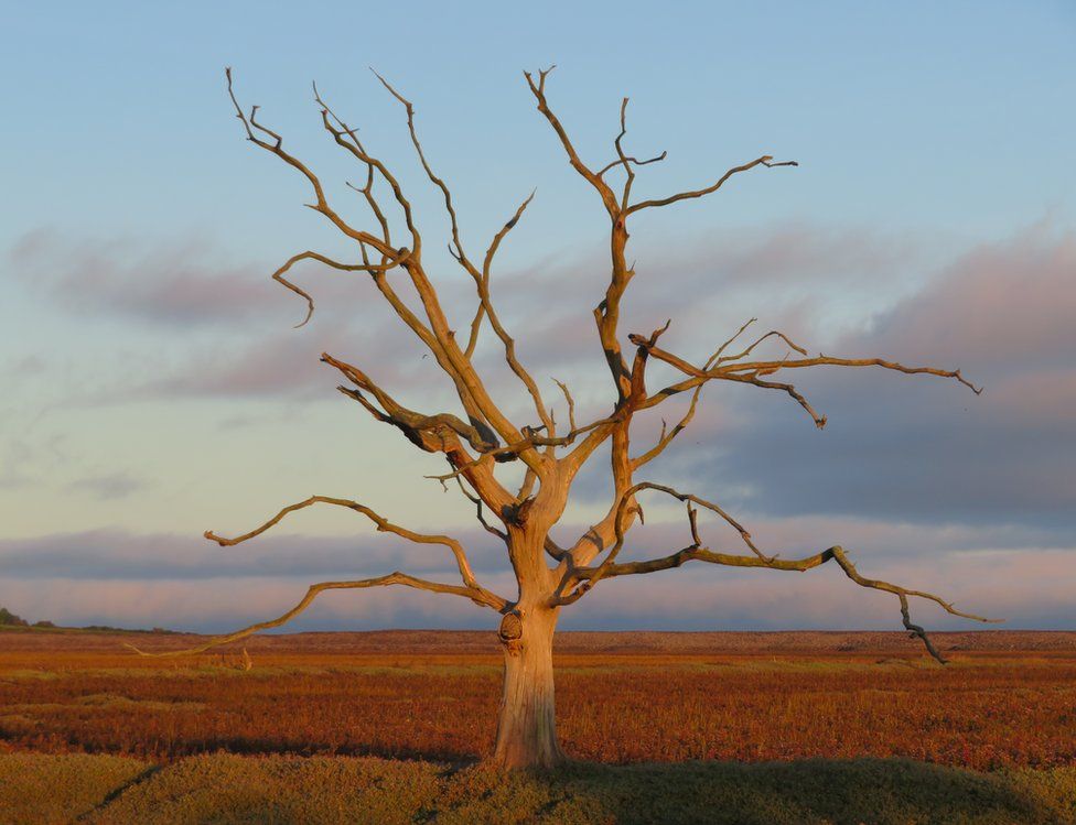 England's Big Picture: 1 - 7 October - BBC News