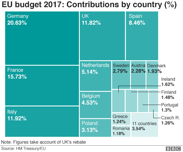 Will the EU cost people more than a daily coffee? - BBC News