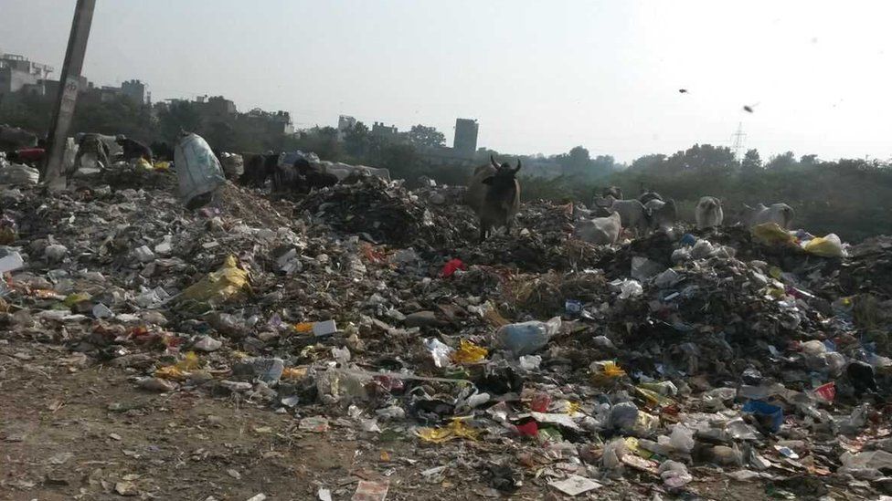Can an app help clean up the Indian capital - BBC News
