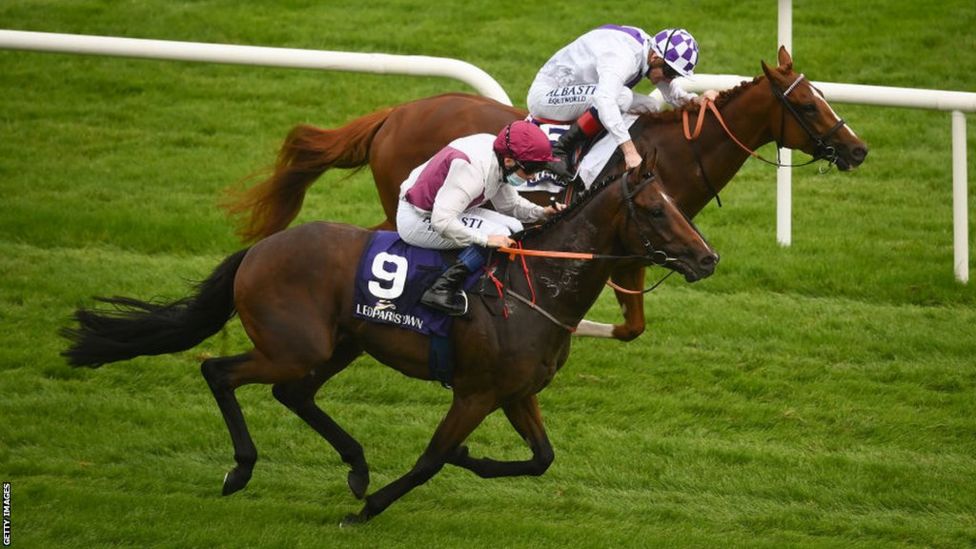 Luke Comer: Irish trainer banned for three years over steroids in ...