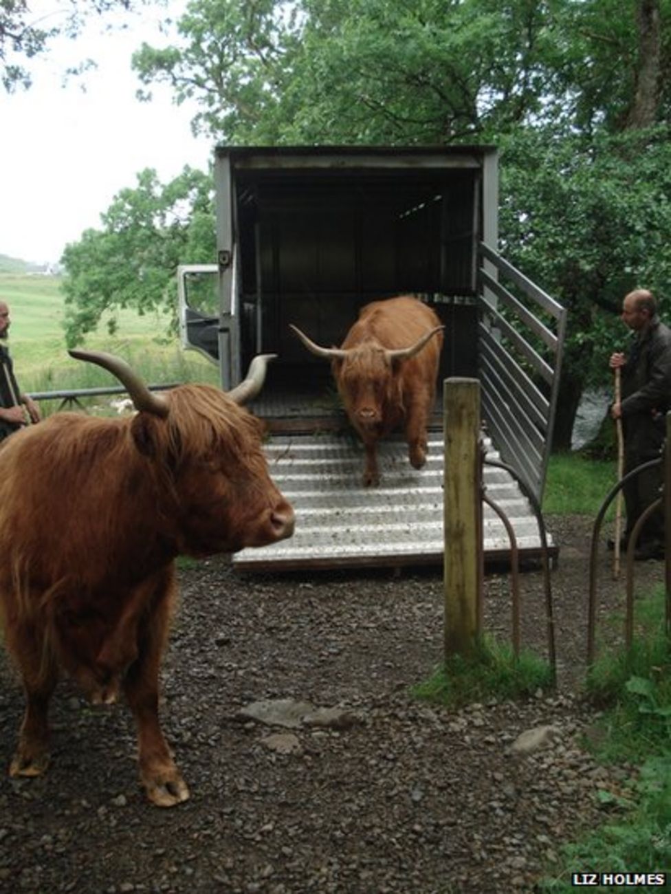 In pictures: The Droving Project - BBC News