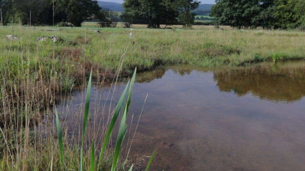 Somerset river re-routed back to its original floodplain - BBC News
