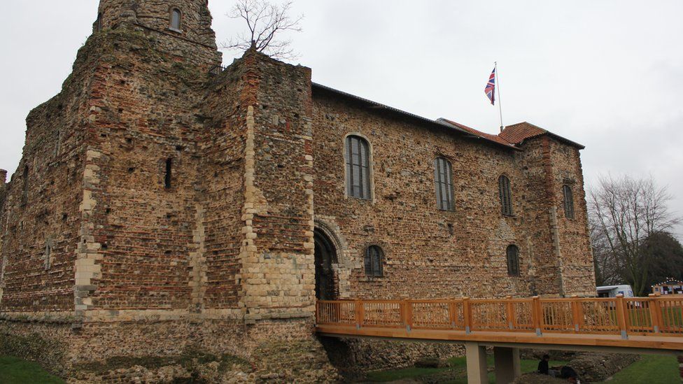 Colchester castle rangers give mouth-to-mouth to fish - BBC News