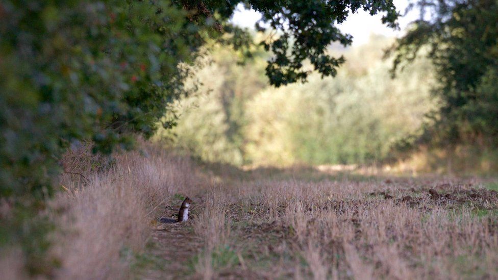 Oxfordshire's Big Picture - BBC News