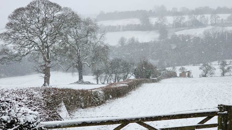 UK snow: Did it snow where you are? - BBC Newsround