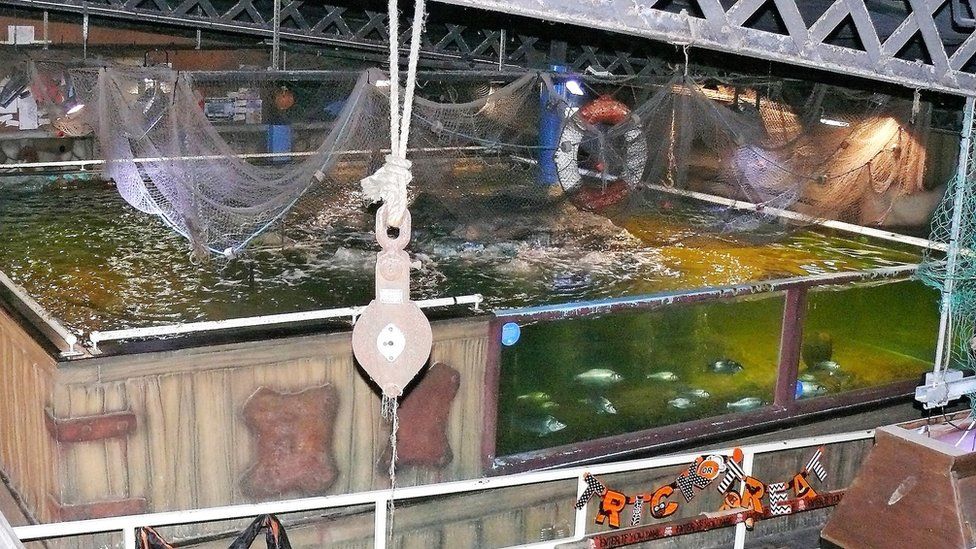 Clacton Seaquarium closing down amid soaring energy costs - BBC News