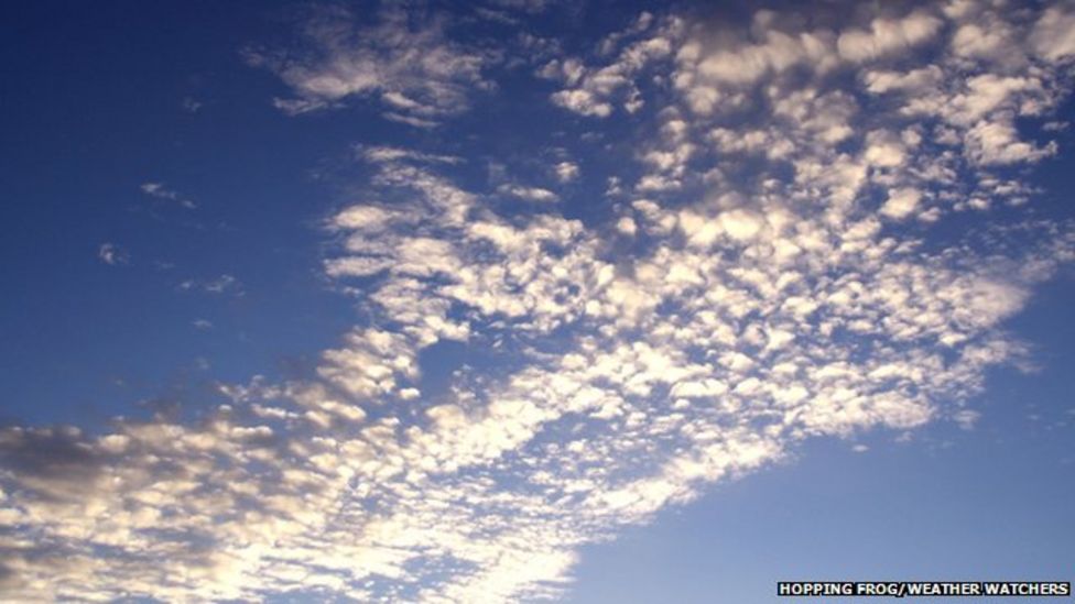 Weather Watcher profile: Hopping Frog - BBC Weather