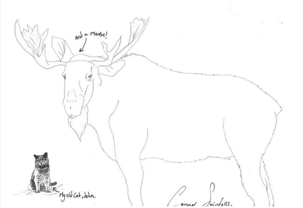 National Doodle Day: Celebrities and artists show off their creations ...