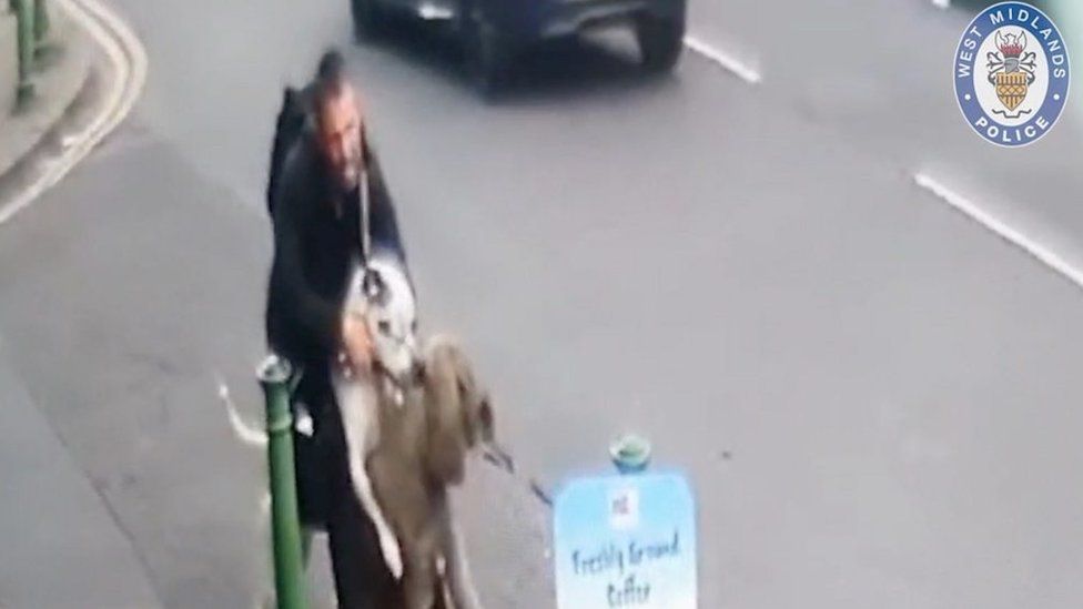 Man sought as woman, 76, attacked by dog in Handsworth - BBC News