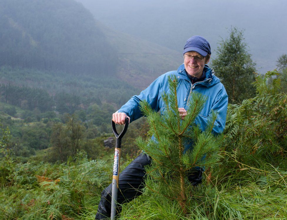 Scotland's tree of the year finalists revealed - BBC News