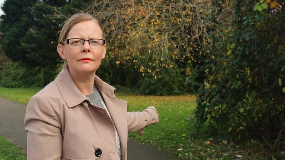 Gloucester: Trees to be felled after damage to school wall - BBC News