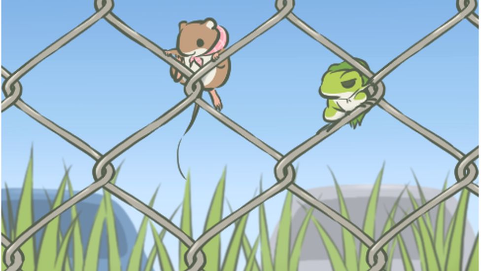 Travel Frog: The cute Japanese game that has China hooked - BBC News