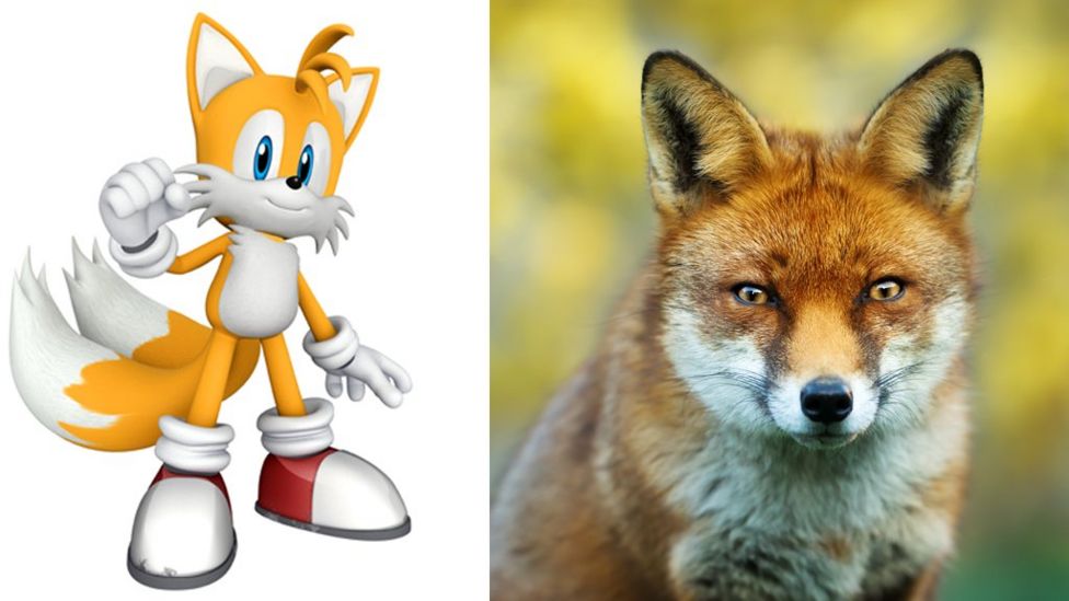 Pikachu to Sonic - Meet the video game characters inspired by animals ...