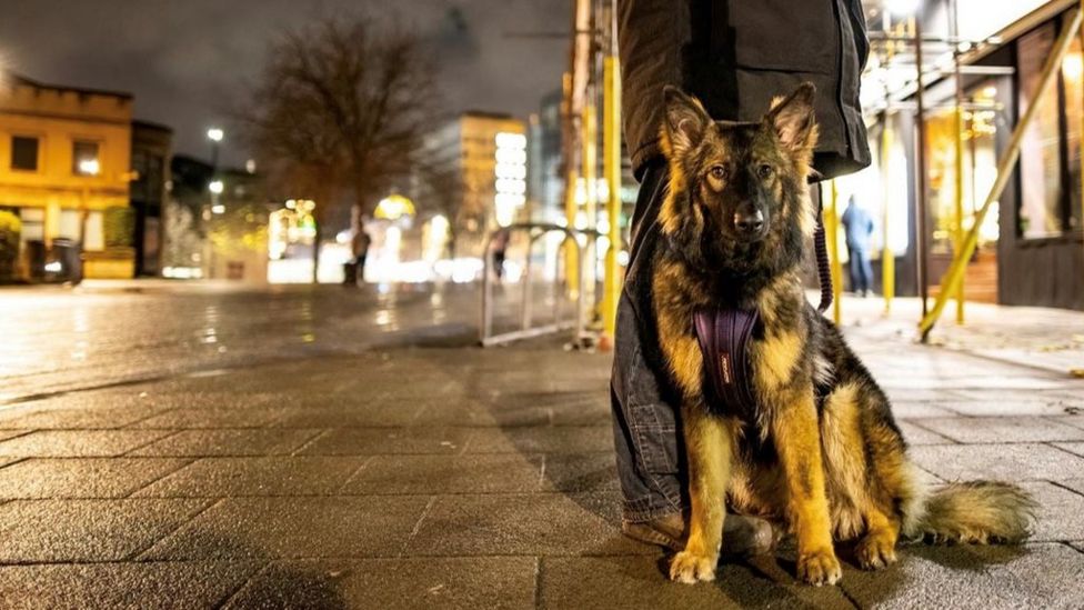 Newcastle homeless and their dogs captured in poignant photographs ...
