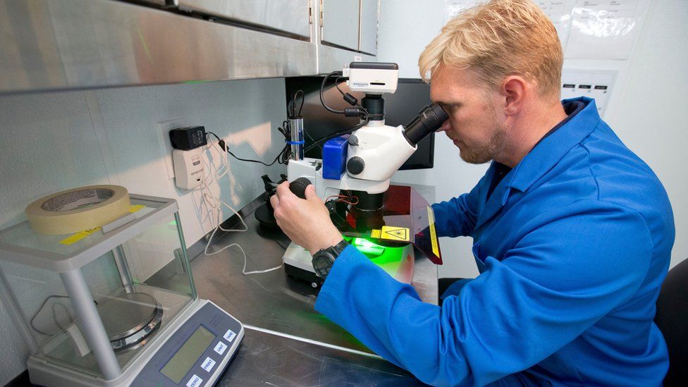 Florida polls split on GM mosquitoes - BBC News