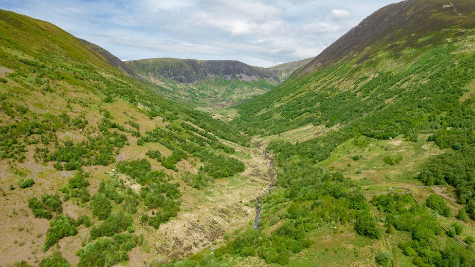 How tree planters turned a bare valley into a wooded glen - BBC News