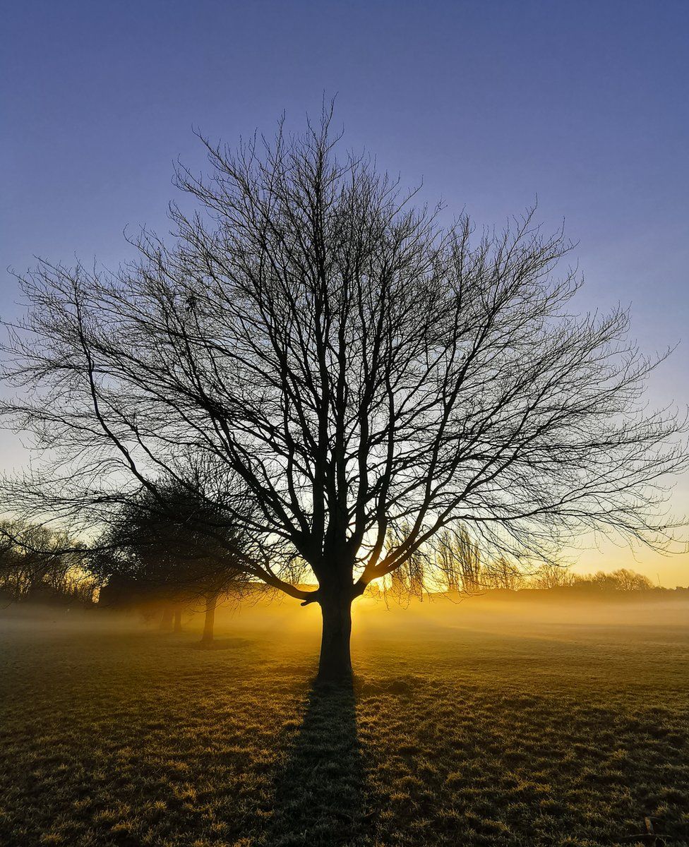 England's Big Picture: 1 - 7 March - BBC News