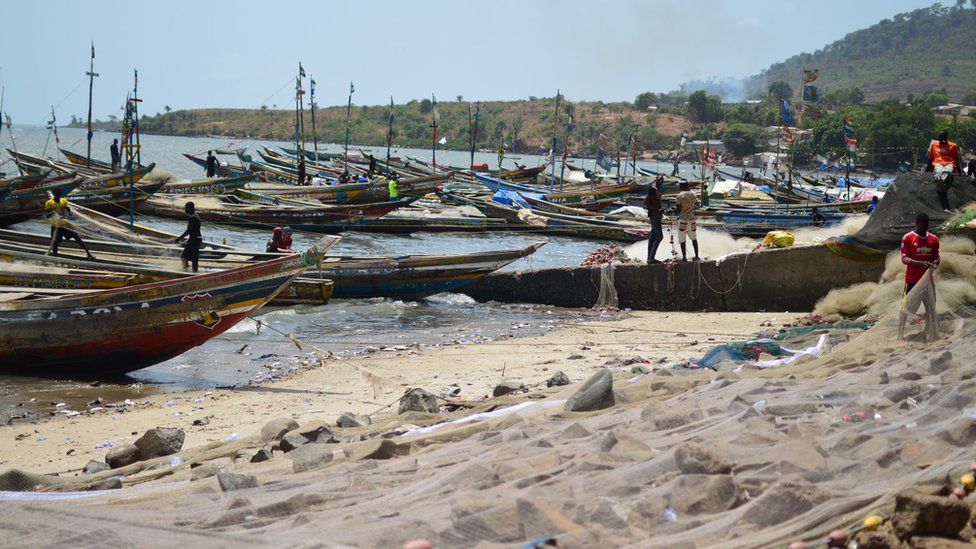 In pictures: Fishing in Sierra Leone - BBC News