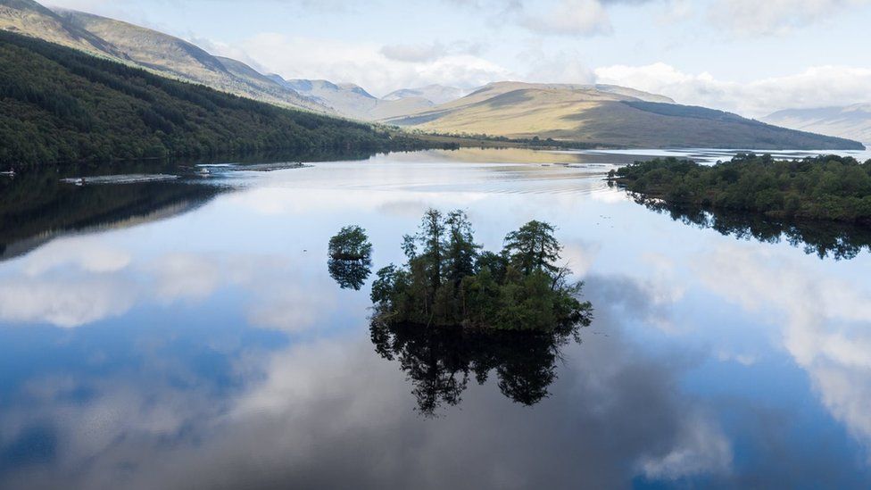 Loch Arkaig osprey Lachlan takes flight for first time - BBC News