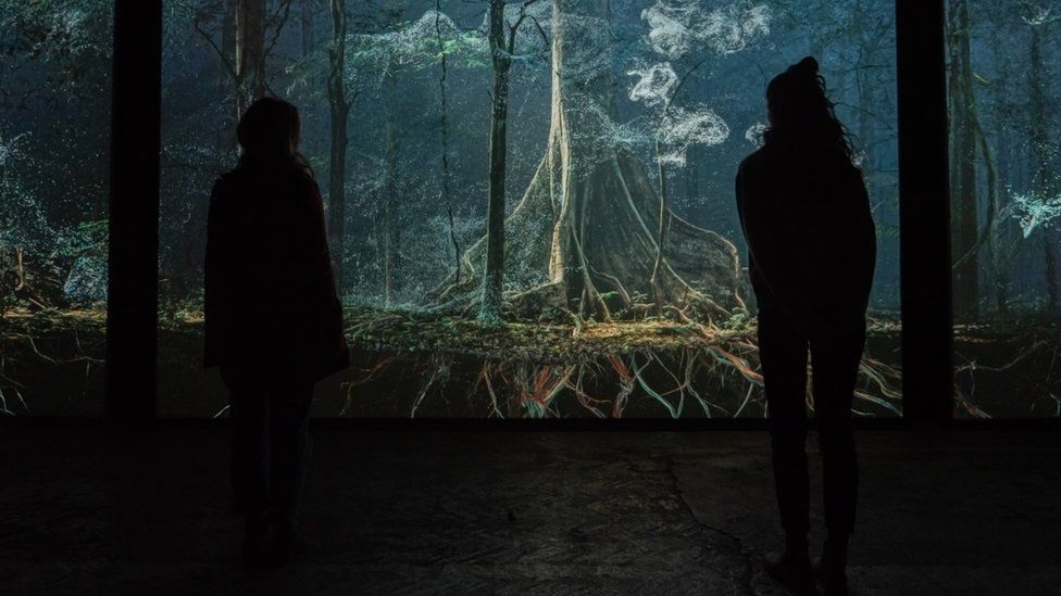 Art: Immersive nature exhibition opens in Oxo Tower - BBC News