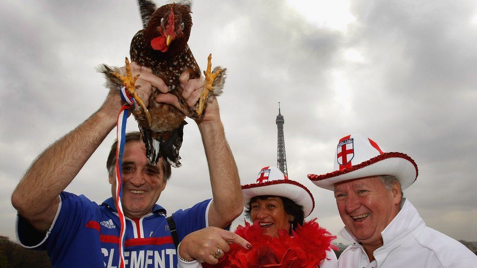 France Euro-16 championships: UEFA bans fan's cockerel from matches ...