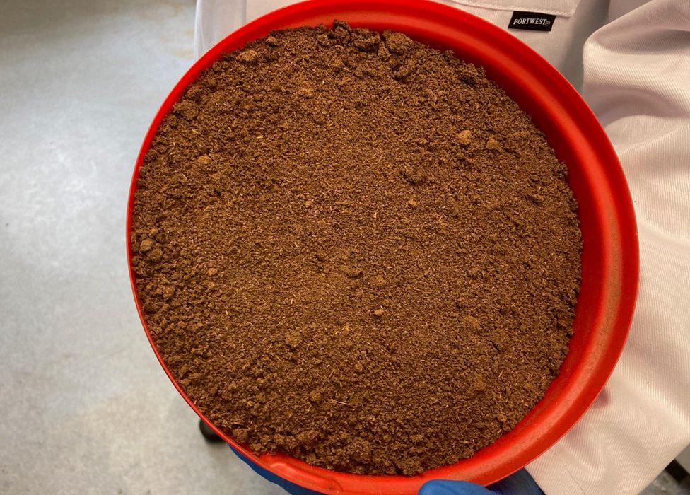 Tea: Could used leaves help make water cleaner? - BBC News