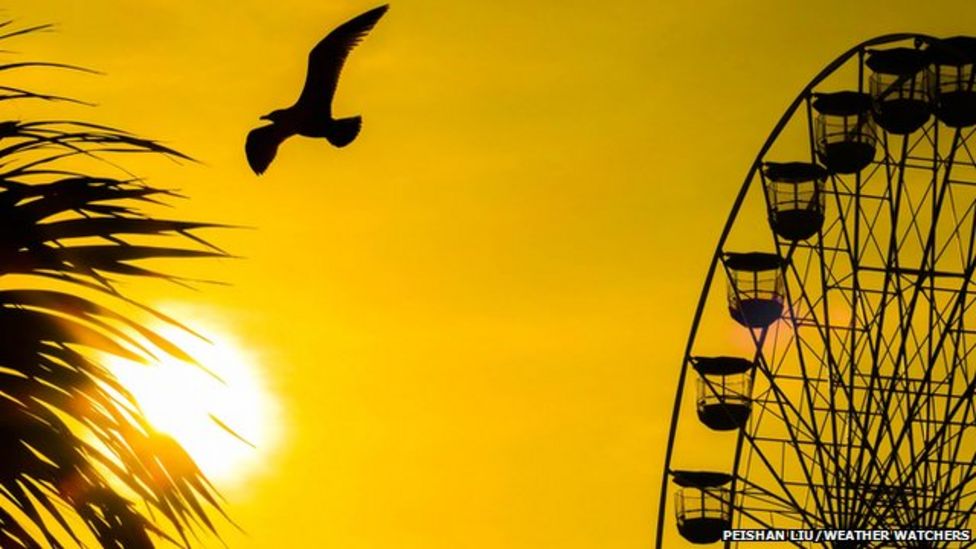 Gallery: Warmest day of the year so far - BBC Weather