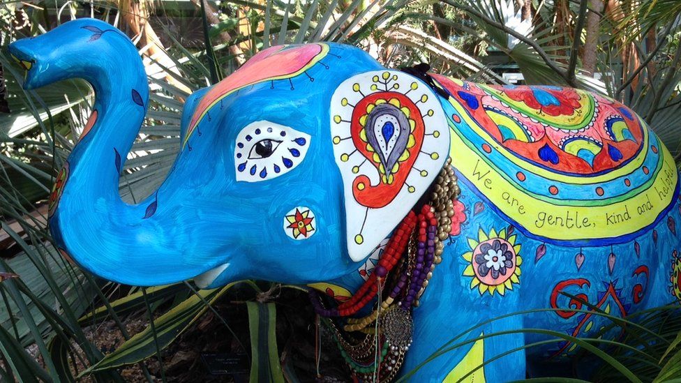 'Herd of Sheffield' elephant statues stampede into city - BBC News