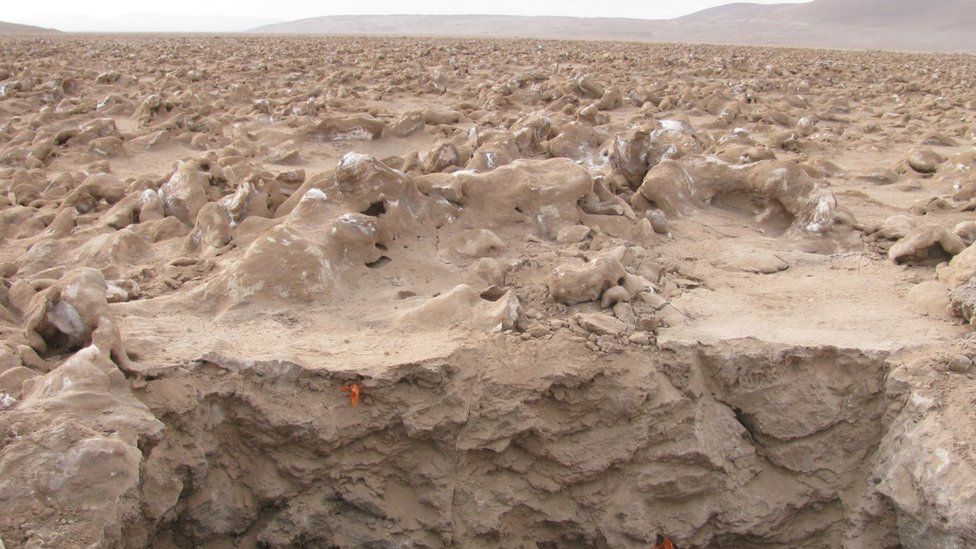 Earth’s driest desert once had lakes - BBC News