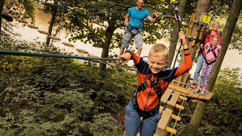 Hylands Park to host Go Ape high rope course - BBC News