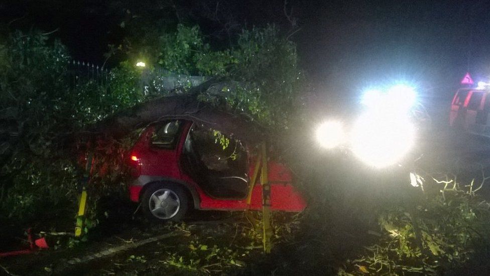 Woman rescued in Buckinghamshire after tree falls on car - BBC News