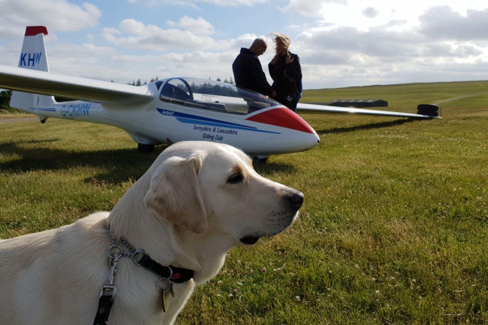 Guide Dogs charity: Blind woman doing sponsored skydive - BBC News