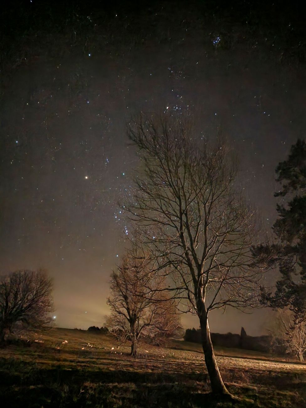 Your pictures of Scotland: 15 - 22 December - BBC News