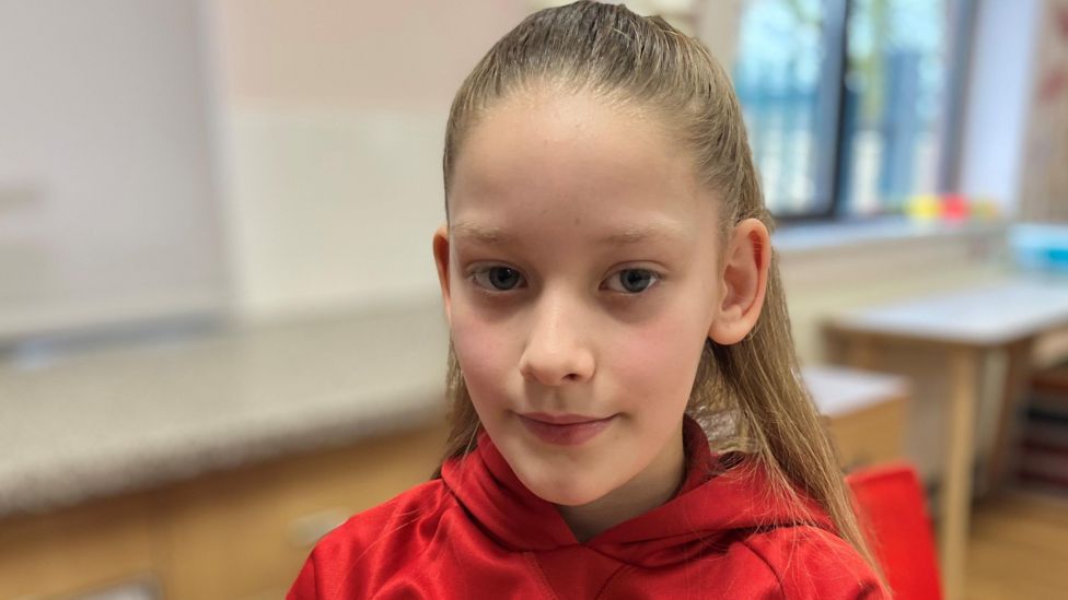 British Sign Language: Why Wales' new GCSE is being delayed - BBC News