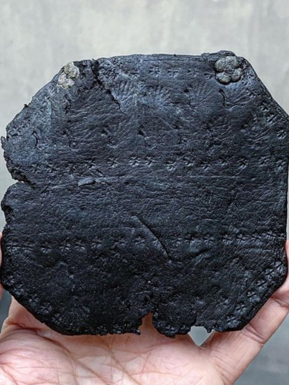 River Thames: Mudlarker discovers rare Tudor leather wrist guard - BBC News