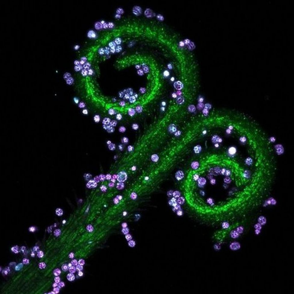 When art meets science, check out these neon pics from under the ...