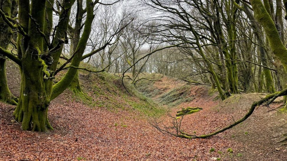 Hembury Hillfort: Historic Devon site bought by conservationists - BBC News