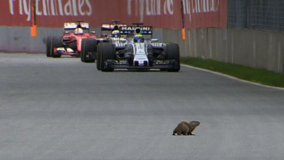 Canadian Grand Prix: Lewis Hamilton will be hoping for Groundhog Day ...